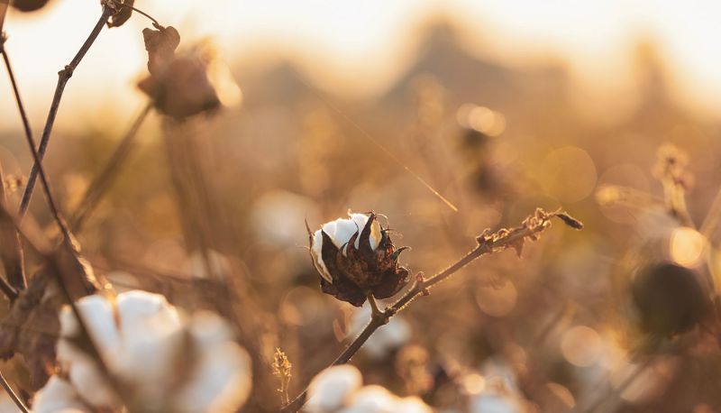 Recyceltes Polyester | Ratgeber | greenality